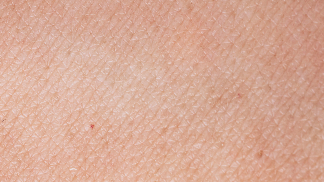 Skin Basics – everbella